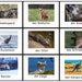 GERMAN VERSION Animals of the Continents Mats Montessori Geography ...