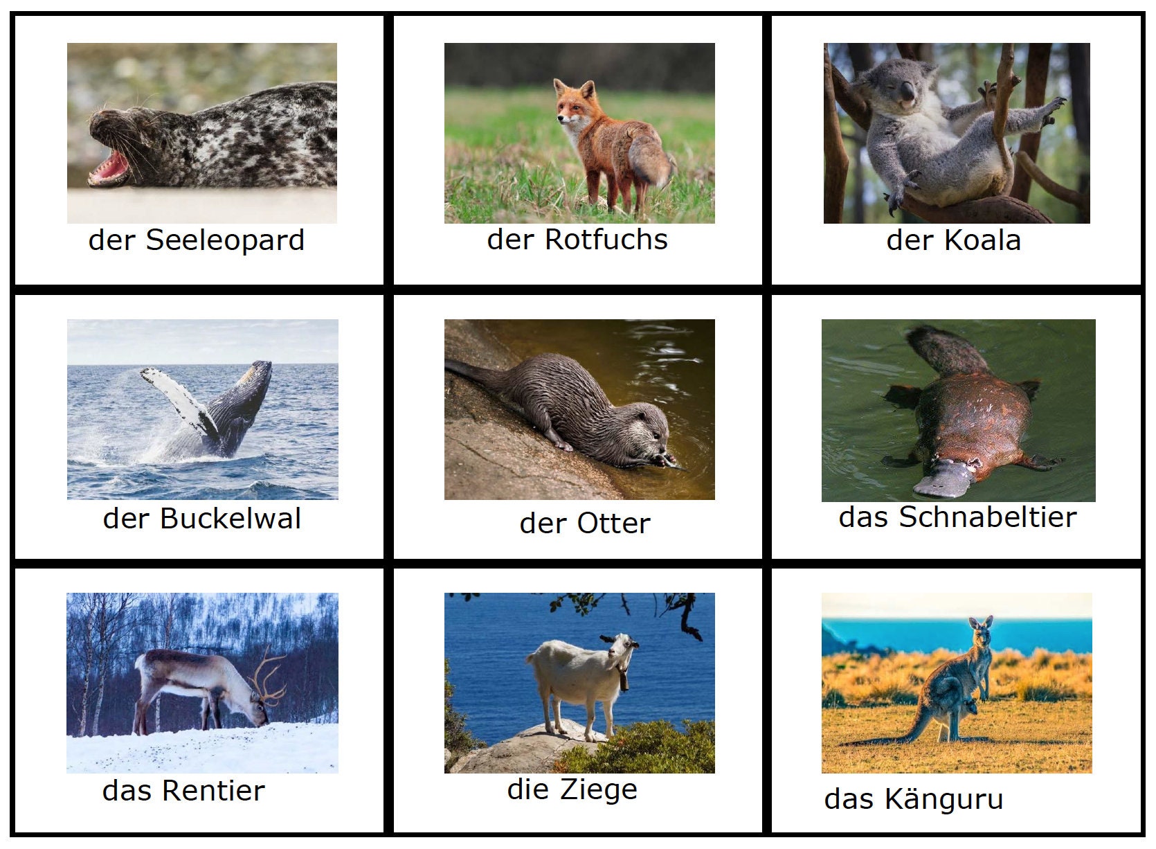 GERMAN VERSION Animals of the Continents Mats Montessori Geography ...