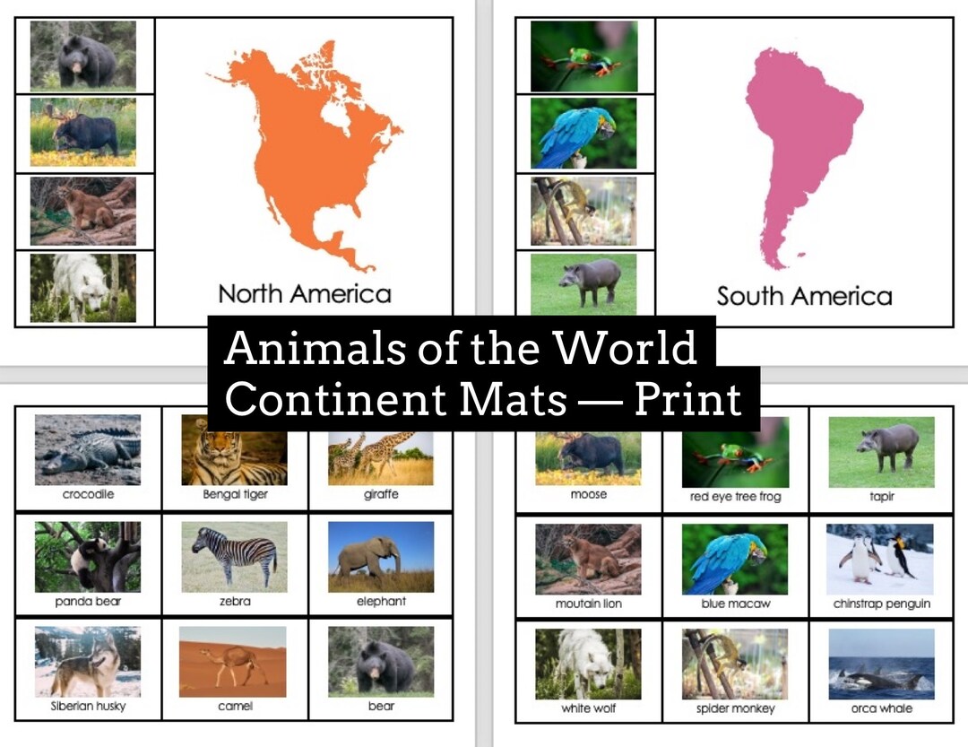 Animals of the World Continent Mats PRINT | Montessori Geography ...