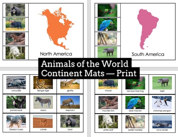 Animals of the World Continent Mats PRINT Montessori | Etsy