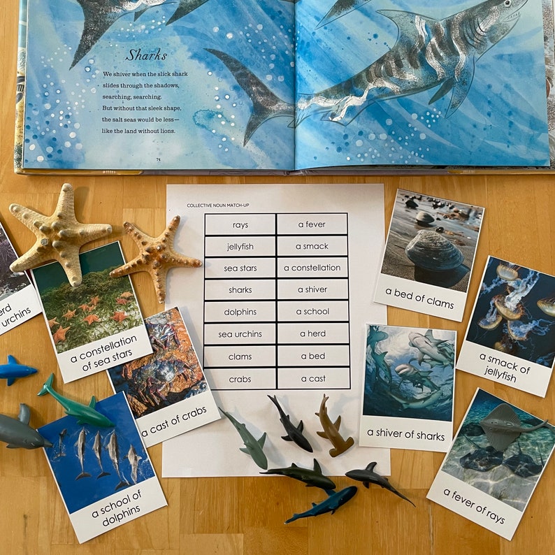 By the Seashore Montessori-inspired Learning Bundle Language - Etsy