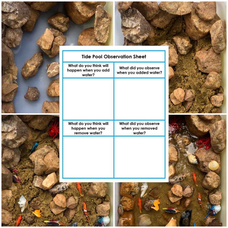 By the Seashore Montessori-inspired Learning Bundle Language - Etsy