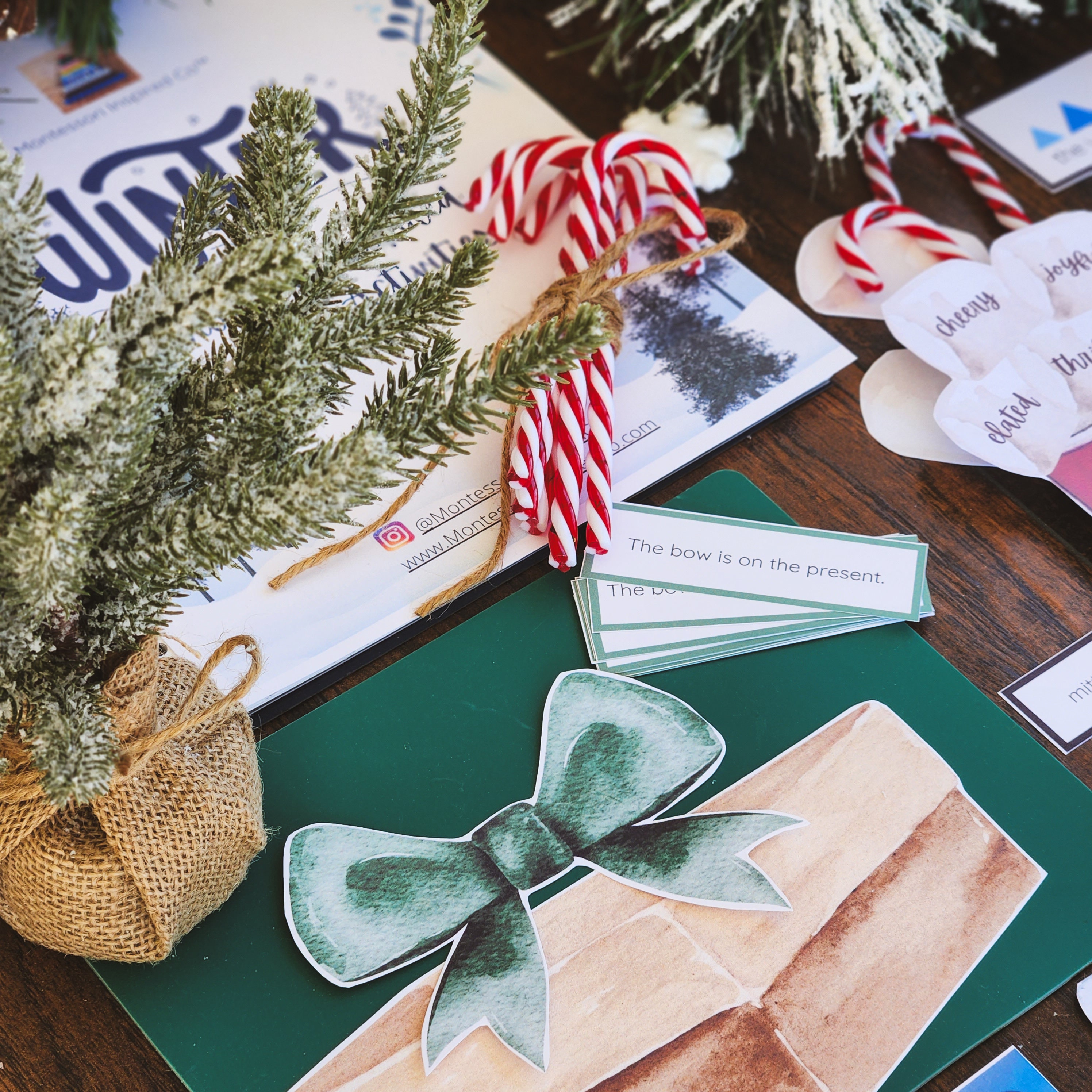 Montessori-inspired Winter Language Activities Grammar Word Study ...