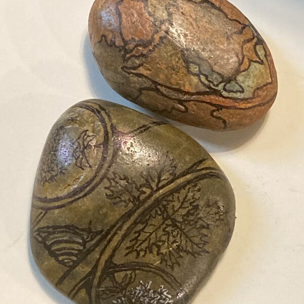 Painted Rocks Dandelion - Etsy