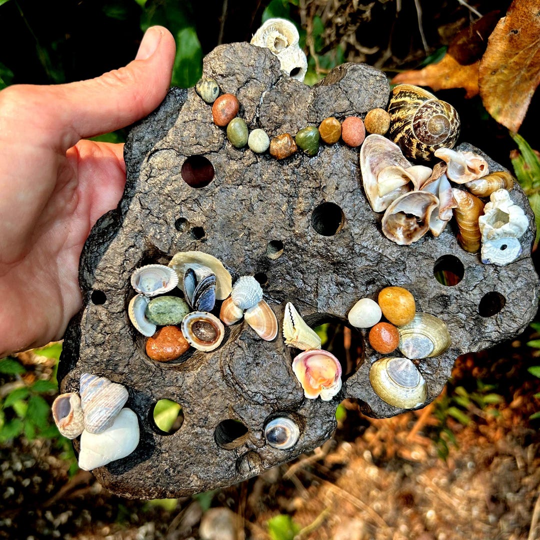 Ocean Tumbled Rocks Peat Driftwood Tableau. Tabletop Centerpiece Beach ...