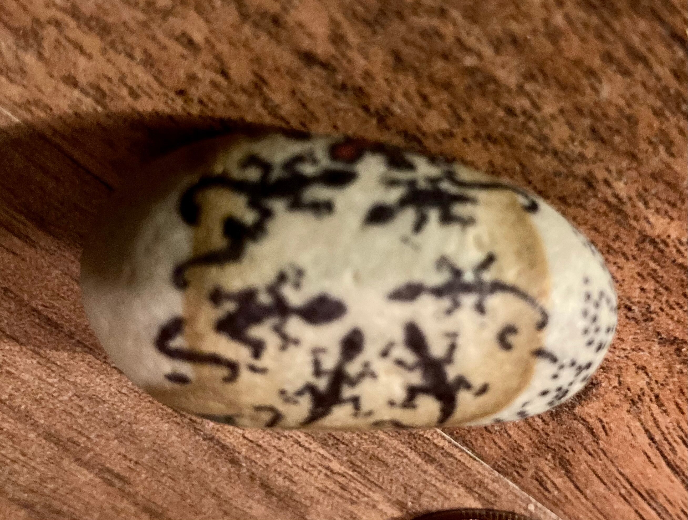 Handmade Lizard Rock Art: Unique Stone Drawings, Lizard Lover Gift - Etsy