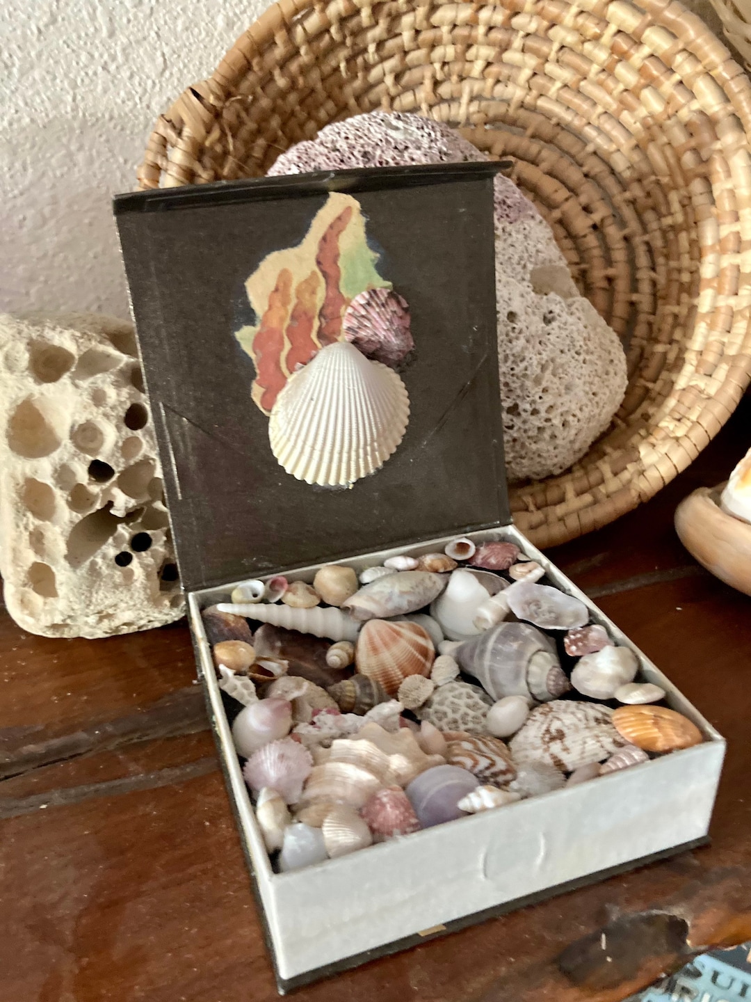 Scallop Shelled Beach-in-a-box. Upcycled Handmade Box. Seashell or ...