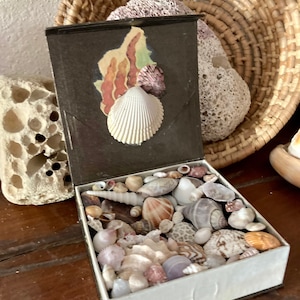 Scallop Shelled Beach-in-a-box. Upcycled Handmade Box. Seashell or ...