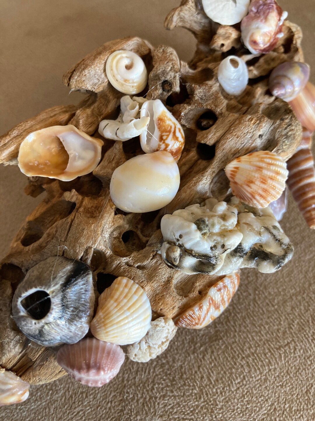 Shell and Stone Driftwood-beach-tableau - Etsy