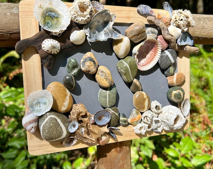 Stone Curves and Shell Art. Lined Beach Stones, Shell and Driftwood ...