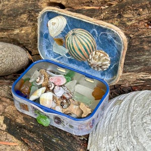 Sea Glass, Driftwood, Shell, Beach Stone Beach-in-a-box. Upcycled ...