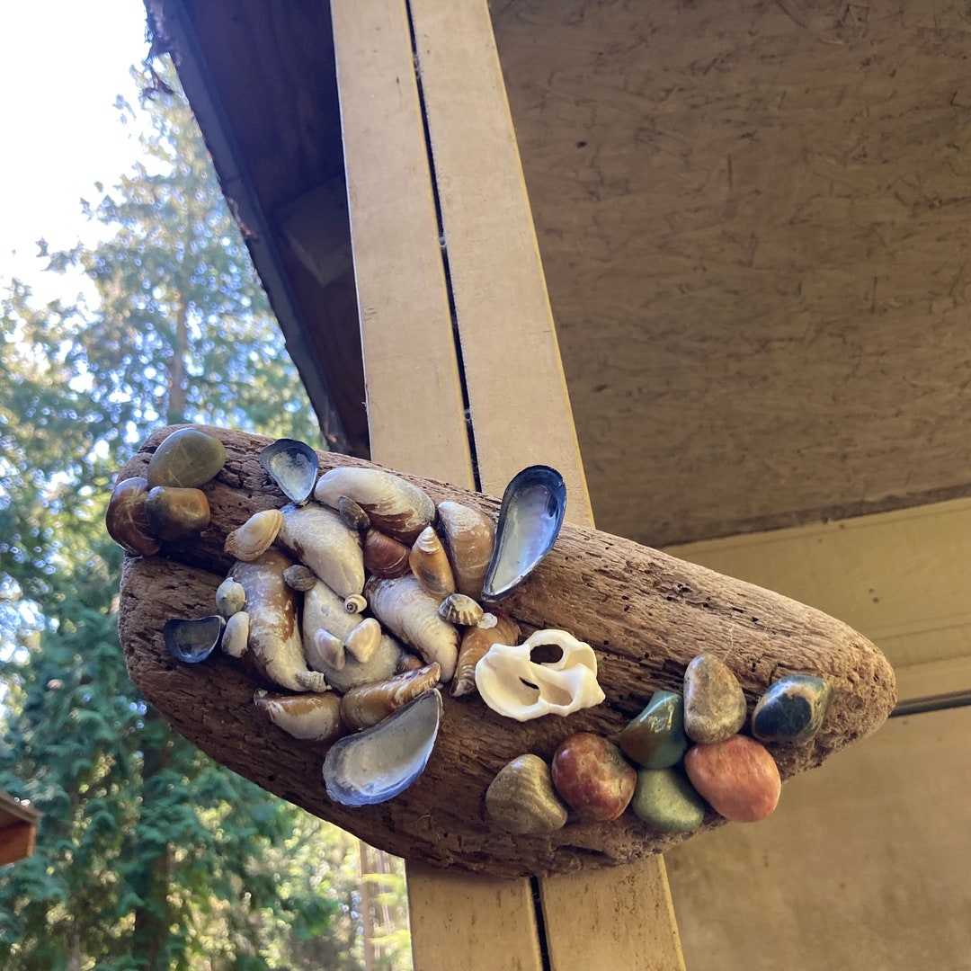 Sea Turtle of Shell and Stone on Driftwood. Turtle Decor. Hanging Beach ...