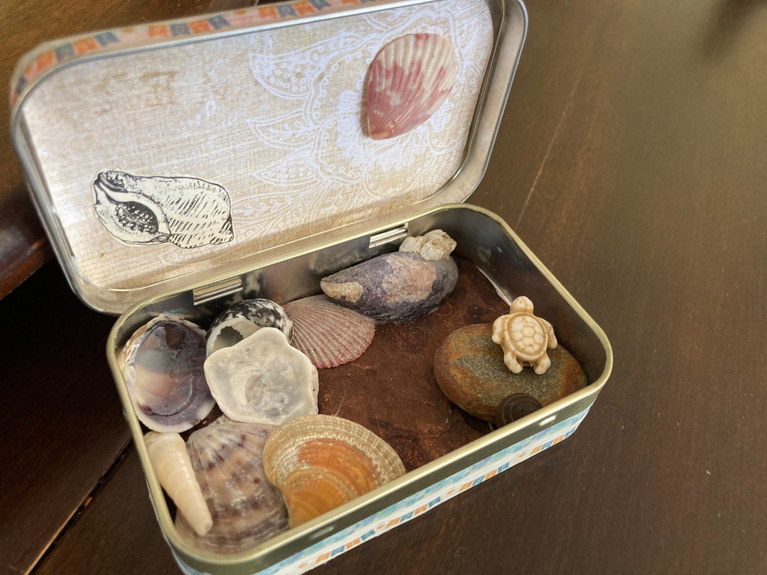 Sea Turtle Beach-in-a-box. Upcycled Handmade Container. Small Turtle ...