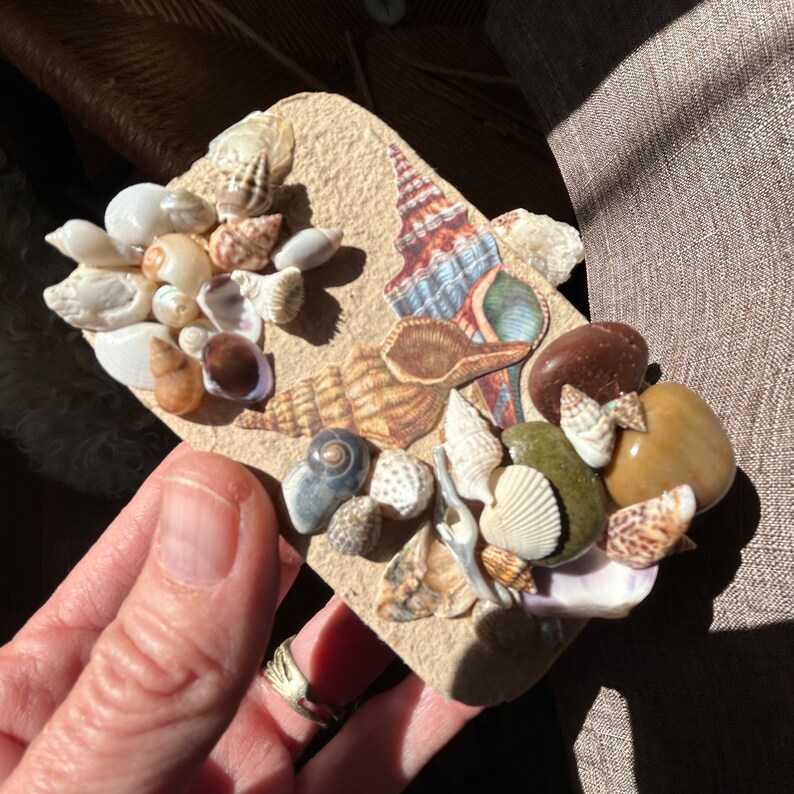 Shell and Octopus Beach-in-a-box. Upcycled Handmade Tin. Small Turtle ...