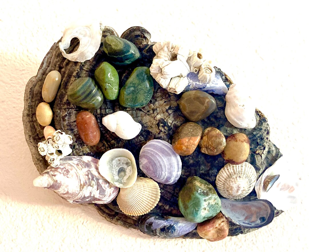 Shell and Rocks Bracken-driftwood Beach Tableau. Wall Hanging or ...