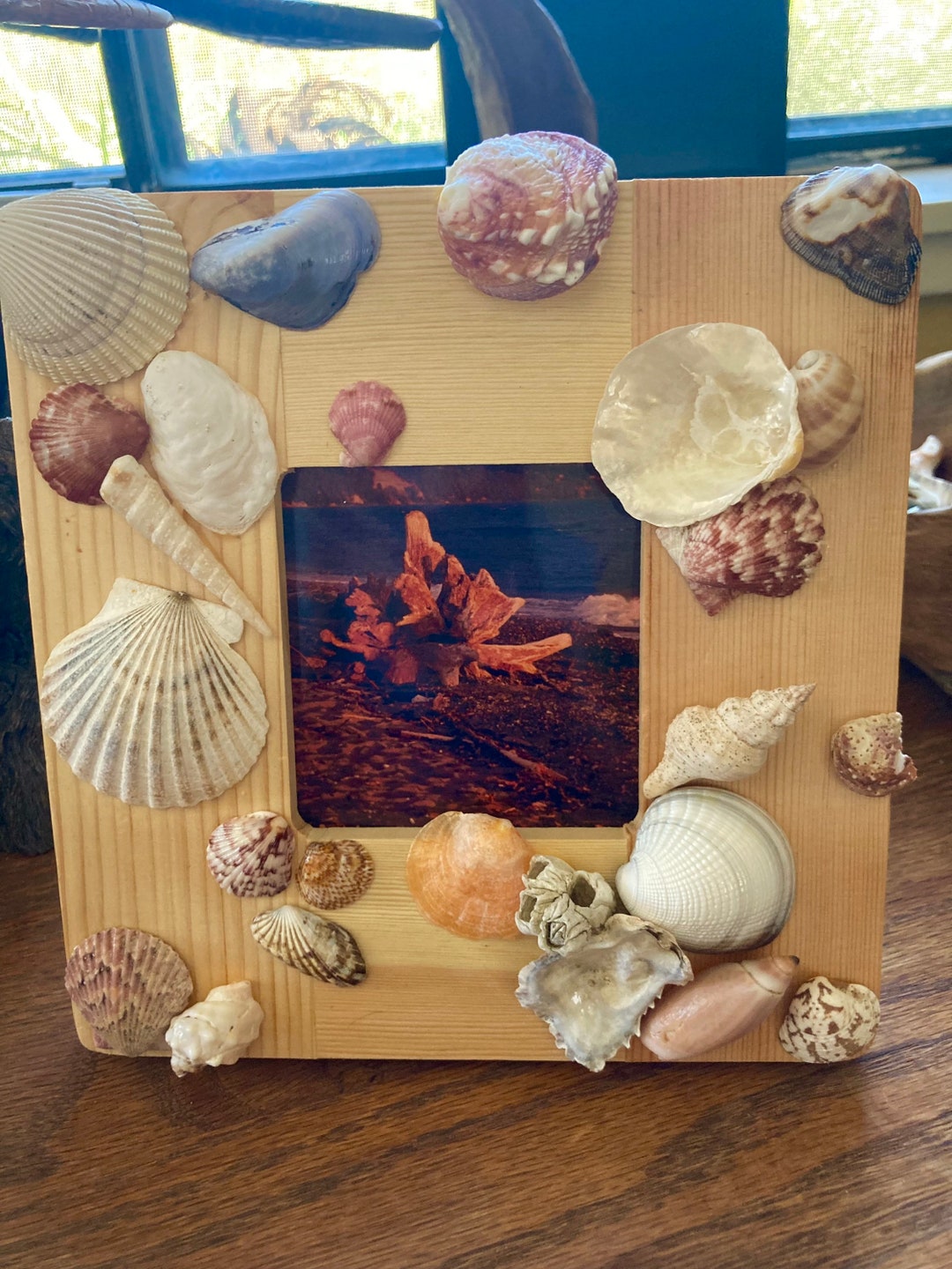 Handmade Wooden Sea Shell Frame, Beach Decor (3x3 Inch) - Etsy