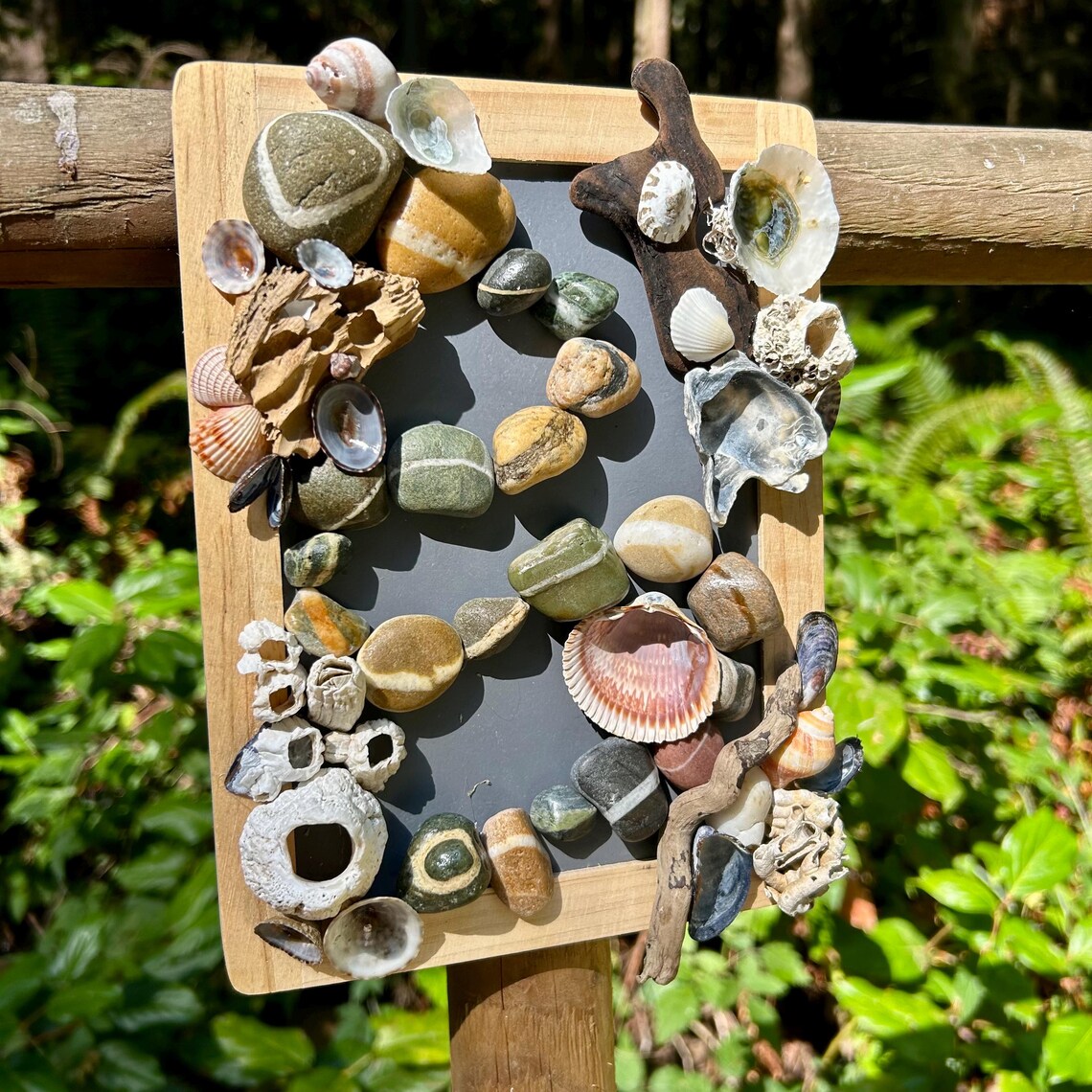 Stone Curves and Shell Art. Lined Beach Stones, Shell and Driftwood ...