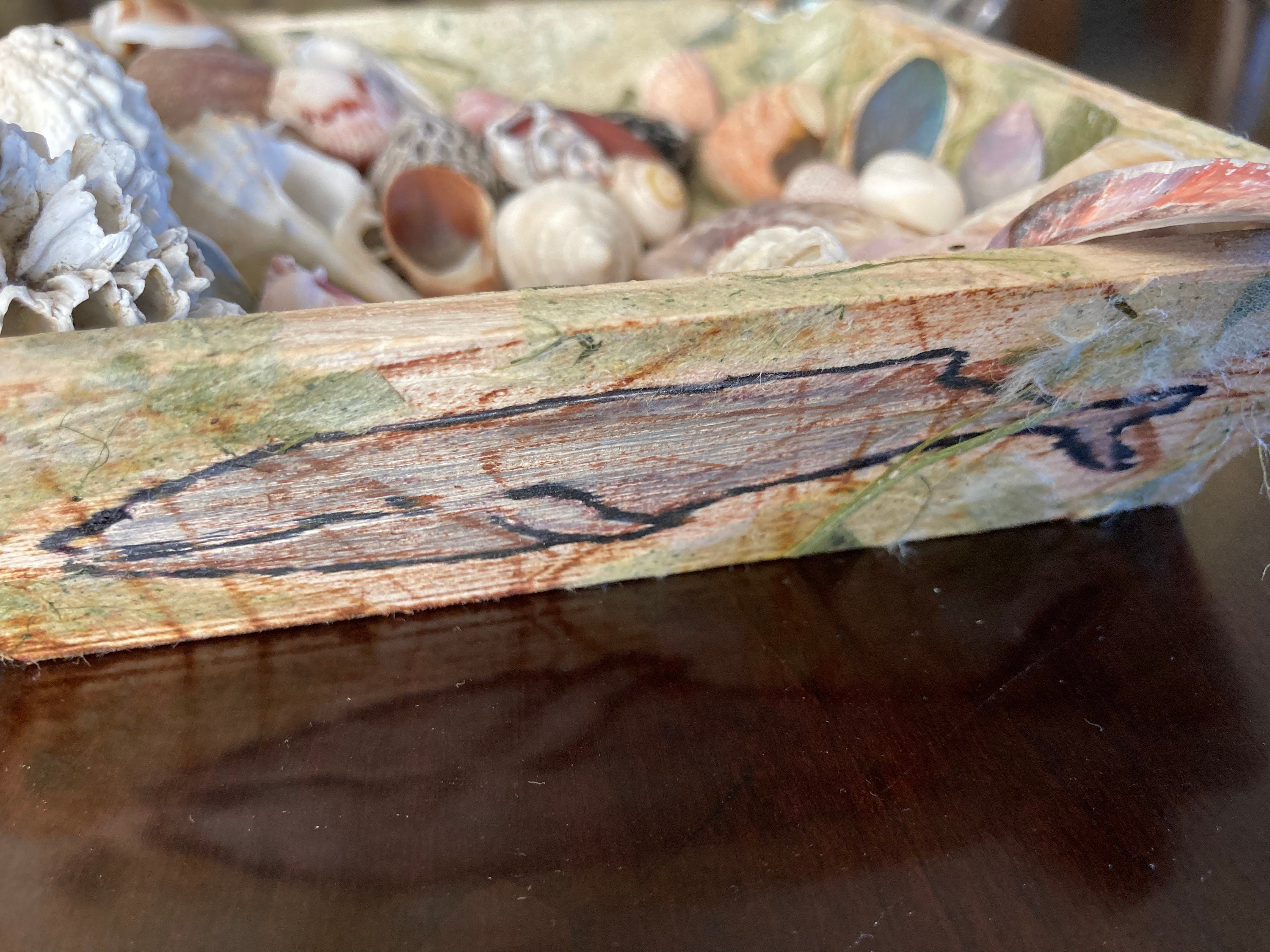 Shells & Wood Beach-in-a-box Beach Souvenir. Seashell - Etsy