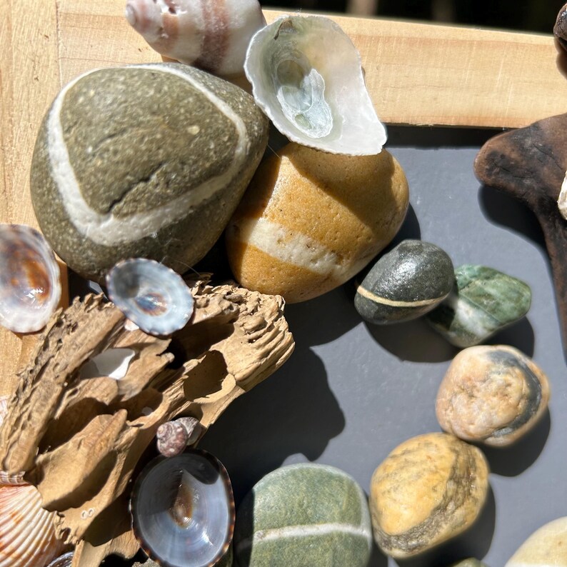 Stone Curves and Shell Art. Lined Beach Stones, Shell and Driftwood ...