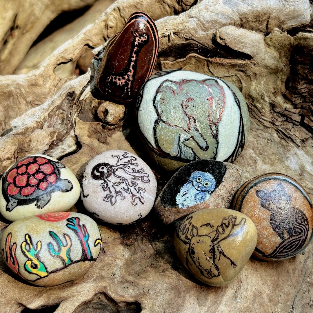 Colorful Nature Rock Sets: Choice of 2 African Animals Rocks, 3 Desert ...