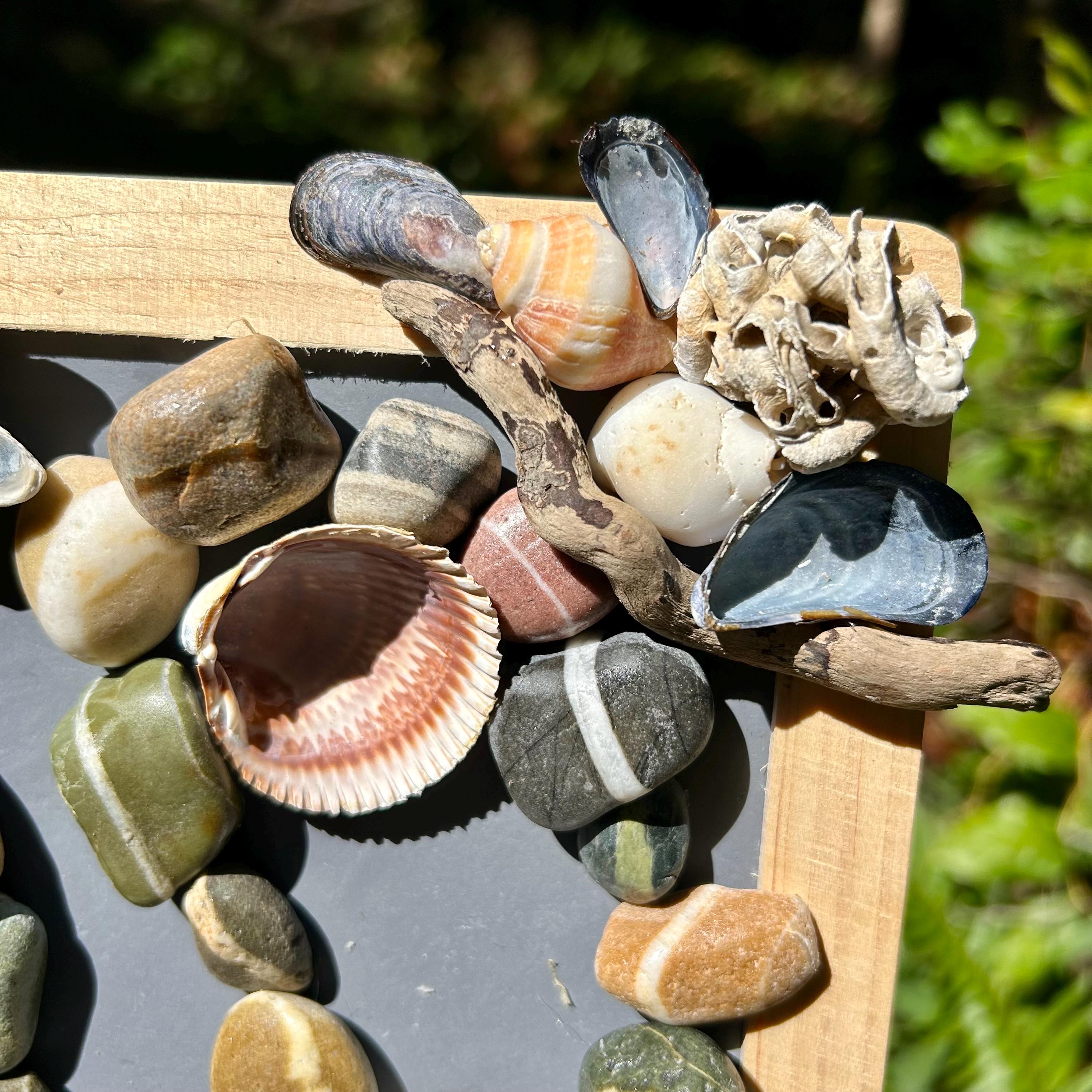 Stone Curves and Shell Art. Lined Beach Stones, Shell and Driftwood ...