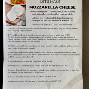 Homemade Fresh Mozzarella Cheese Starter Kit, Mozzarella Making Kit ...