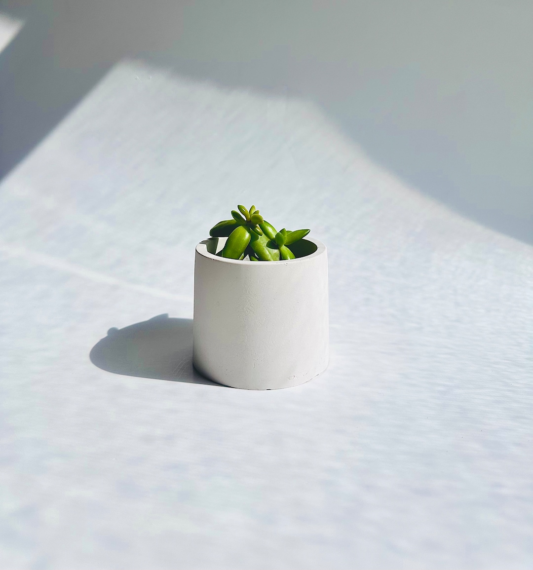 Small White Plaster Pot, for Small Plants, White Jar for Miscellaneous ...