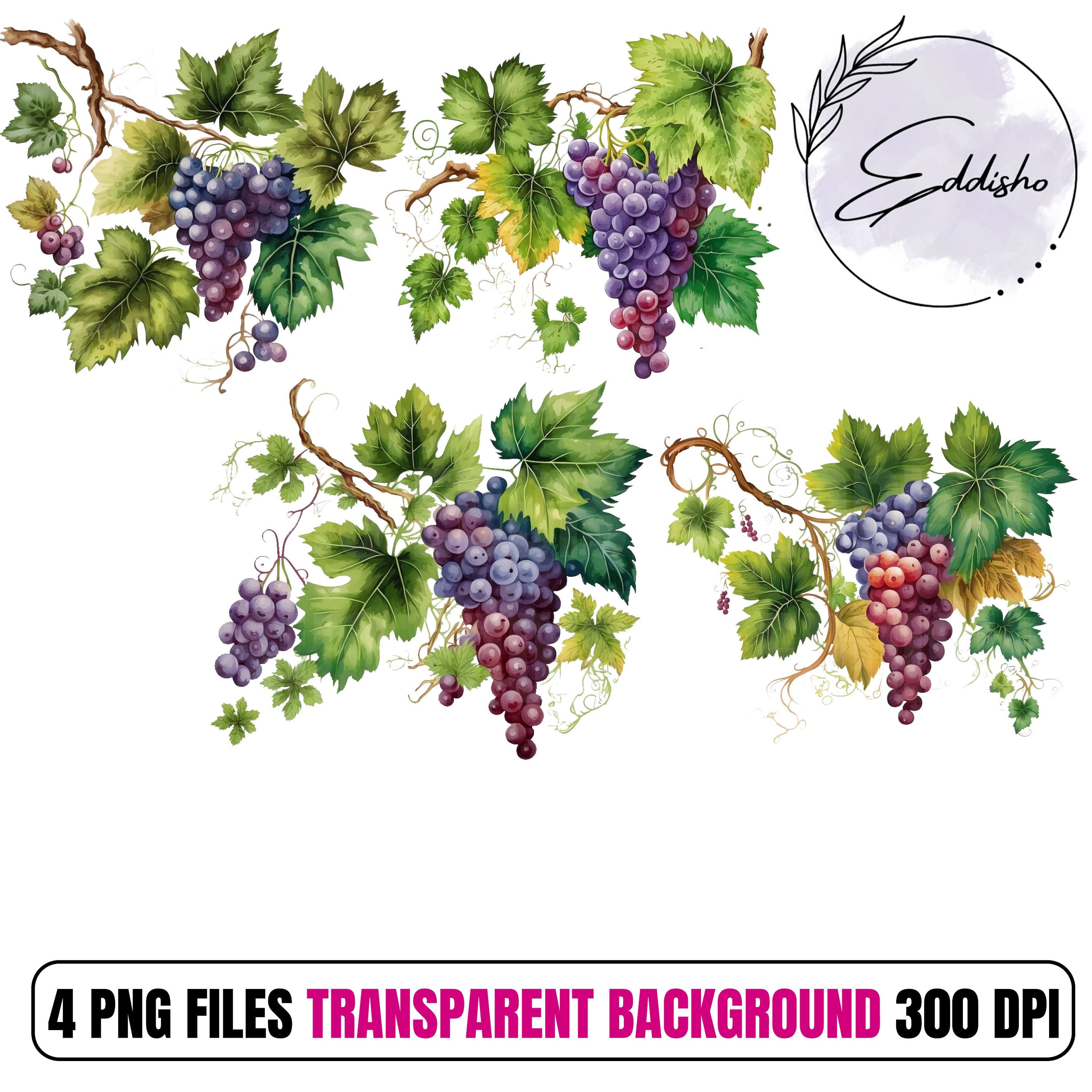 Grapevine Clipart Borders