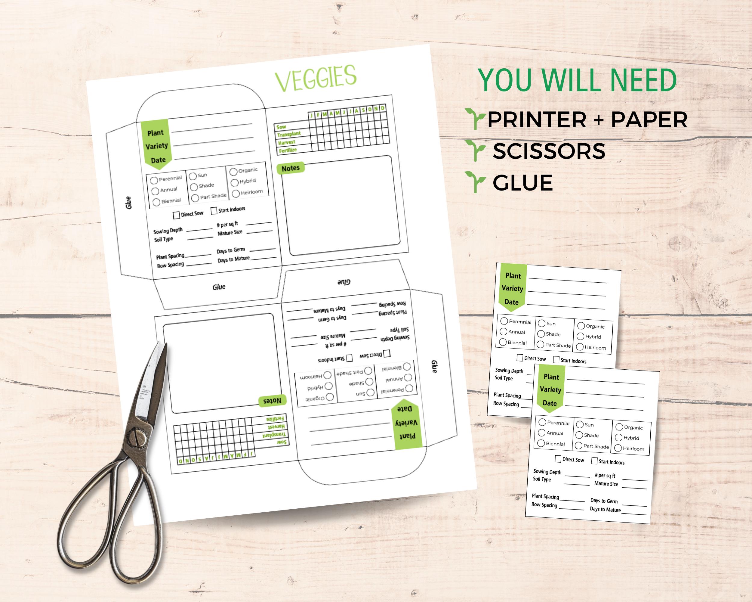 Seed Packets Template, Print at Home Envelopes, Plant Seed Organization ...