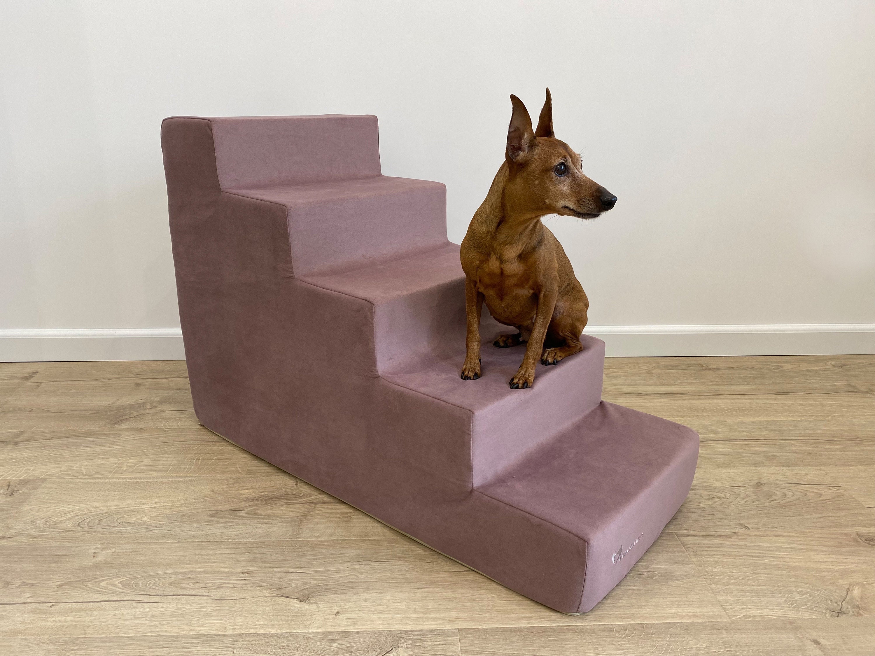 PETLESO Dog Stairs For Small Dog, Pet Stairs For High Bed Couch, Easy ... PETLESO Dog Stairs For Small Dog, Pet Stairs For High Bed Couch, Easy ...