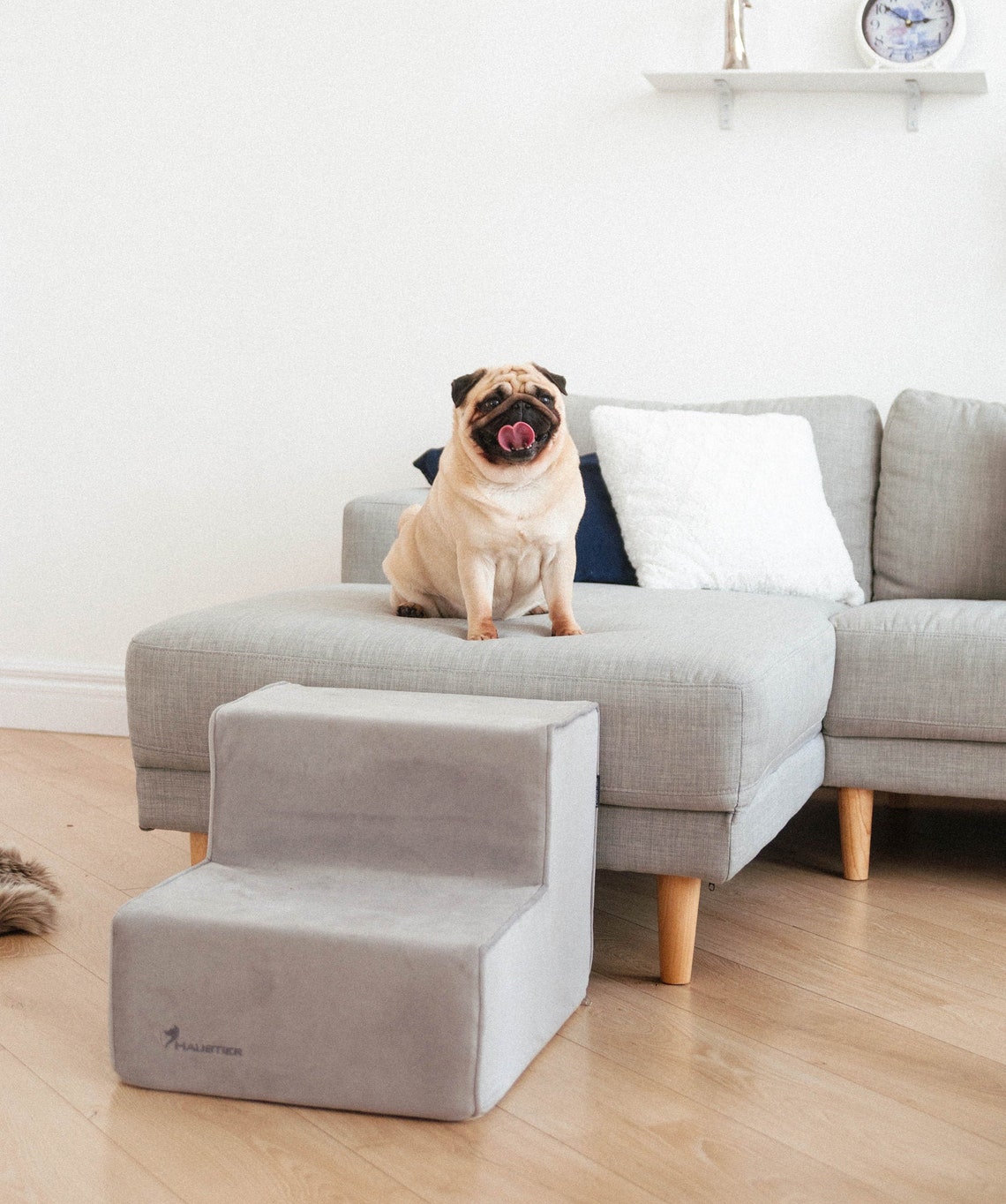 2-step Dog Stairs | Furniture Fabric Pet Steps for Small Dogs - Etsy
