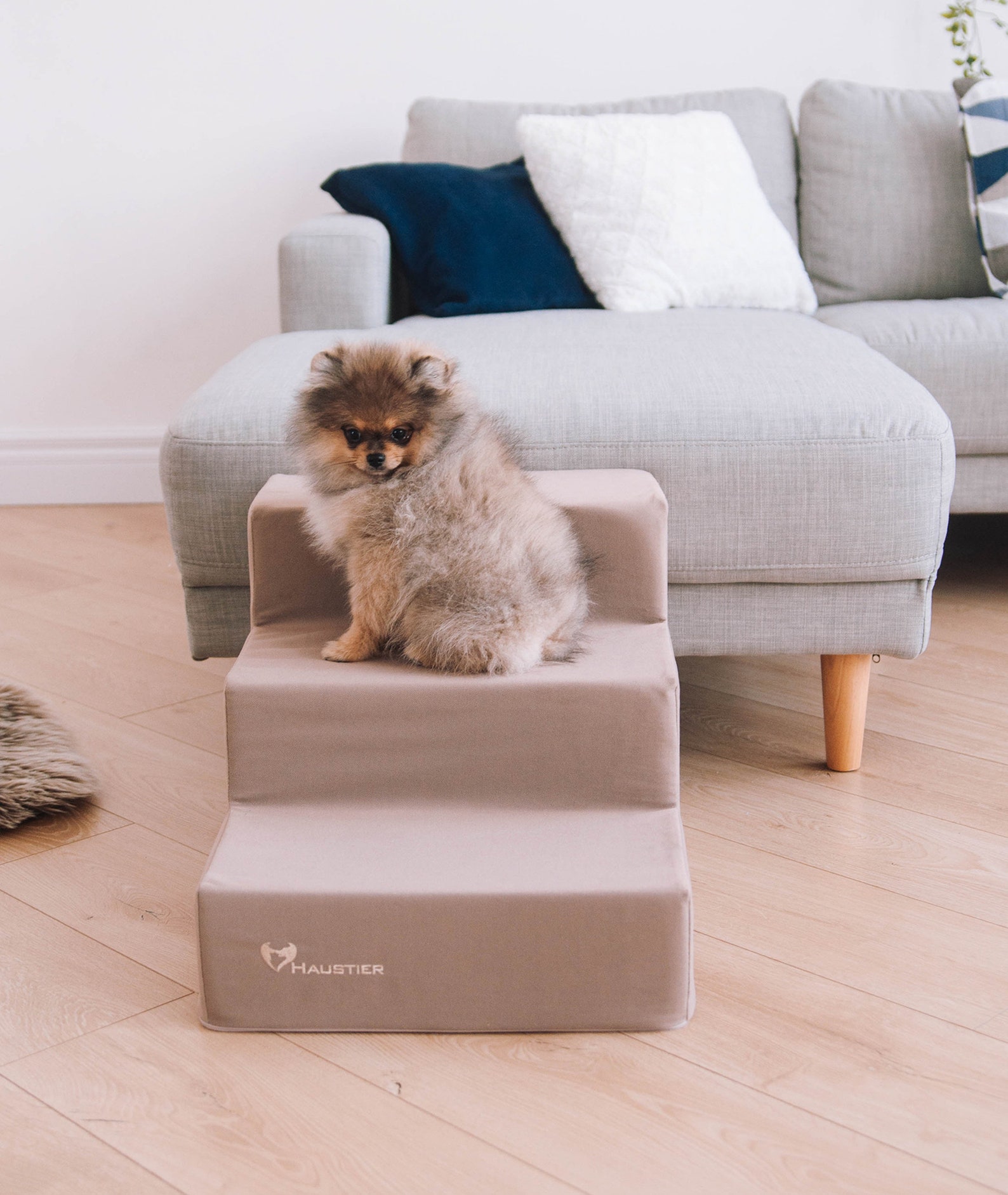 Beige Dog Steps for Bed Puppy Stairs With Removable Cover - Etsy