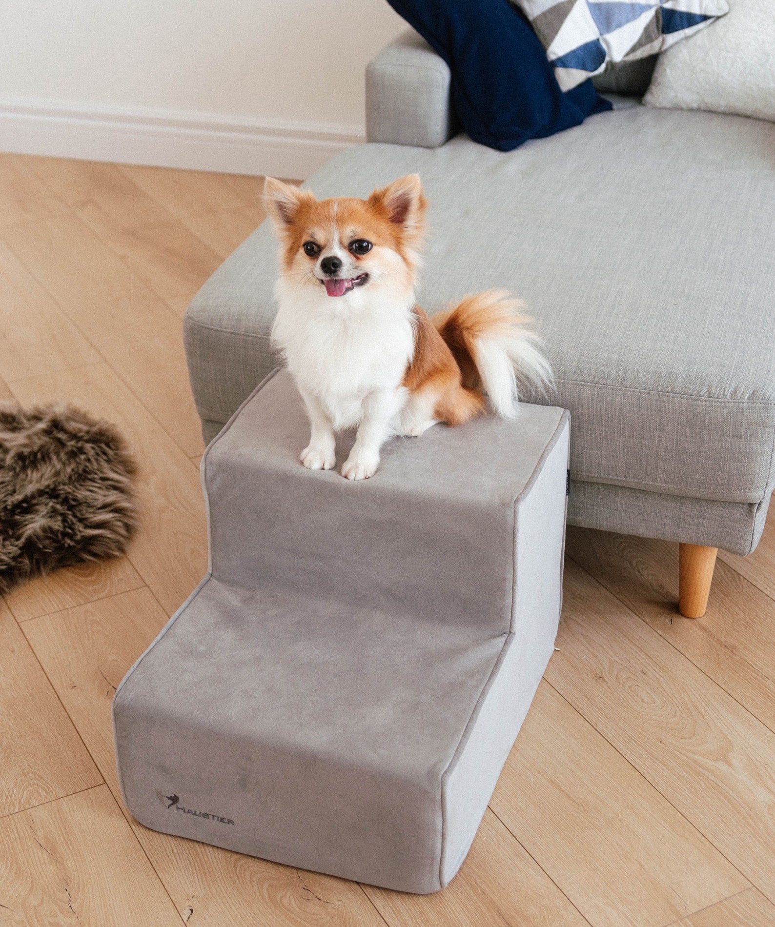 Dog Stairs on 2 Steps Foam Pet Steps for Small Dogs Puppy | Etsy