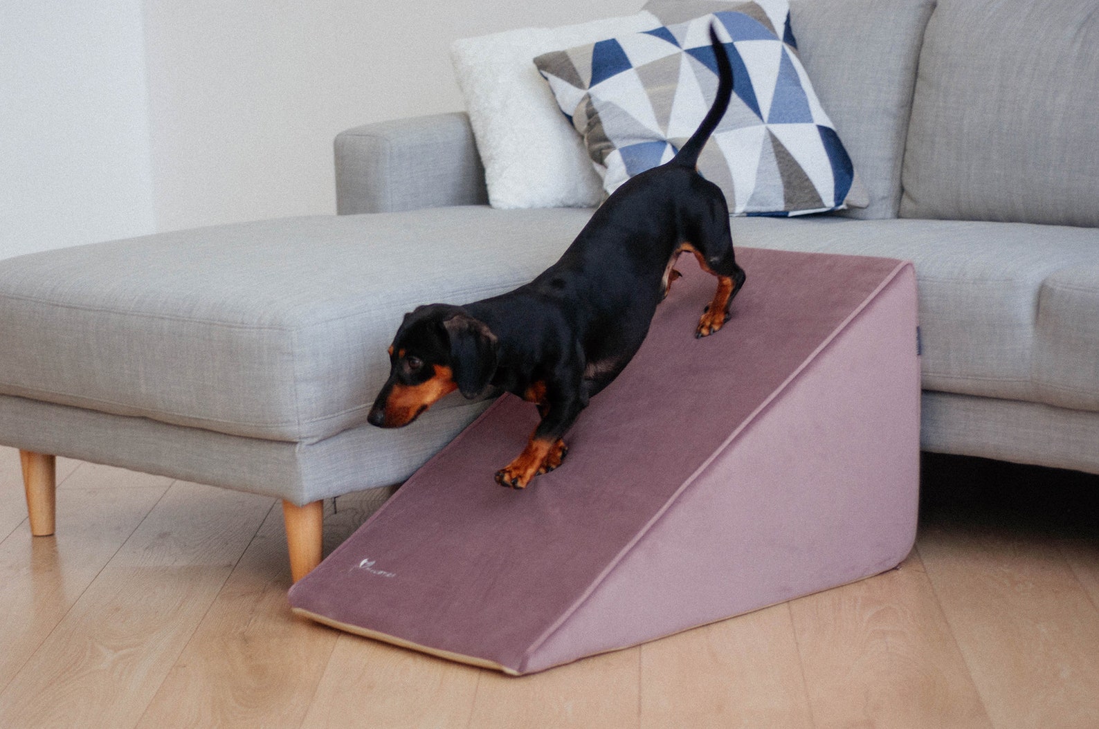 Foam Dog Ramp for Couch or Bed | Dachshund & Small Dog Friendly - Etsy