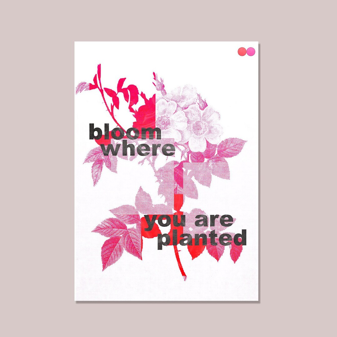 Bloom Where You Are Planted Printable - Etsy