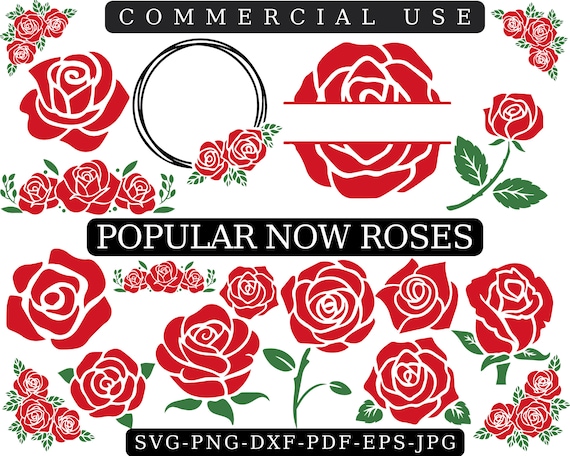 ROSE SVG FILE Rose Svg Bundle Roses Svg Rose Clipart - Etsy Australia