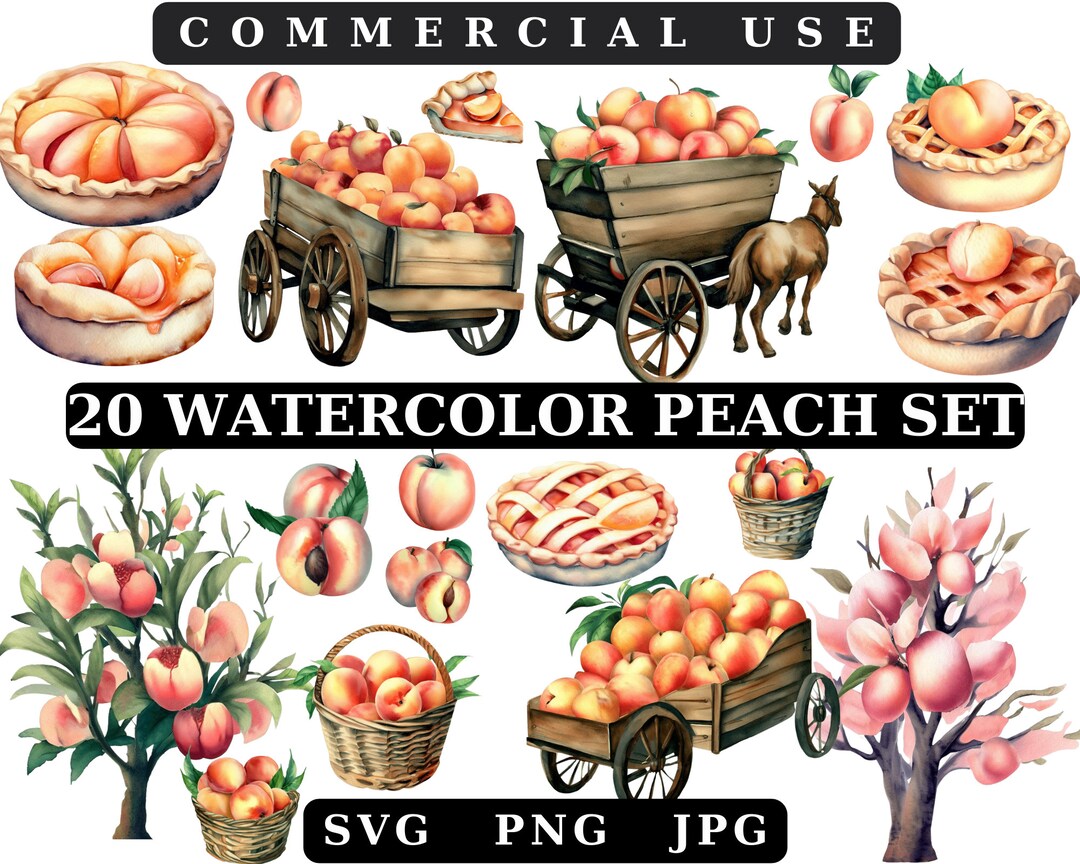 Peaches Watercolor Clipart Bundle,peach Basket,peach Pie,shortcake ...