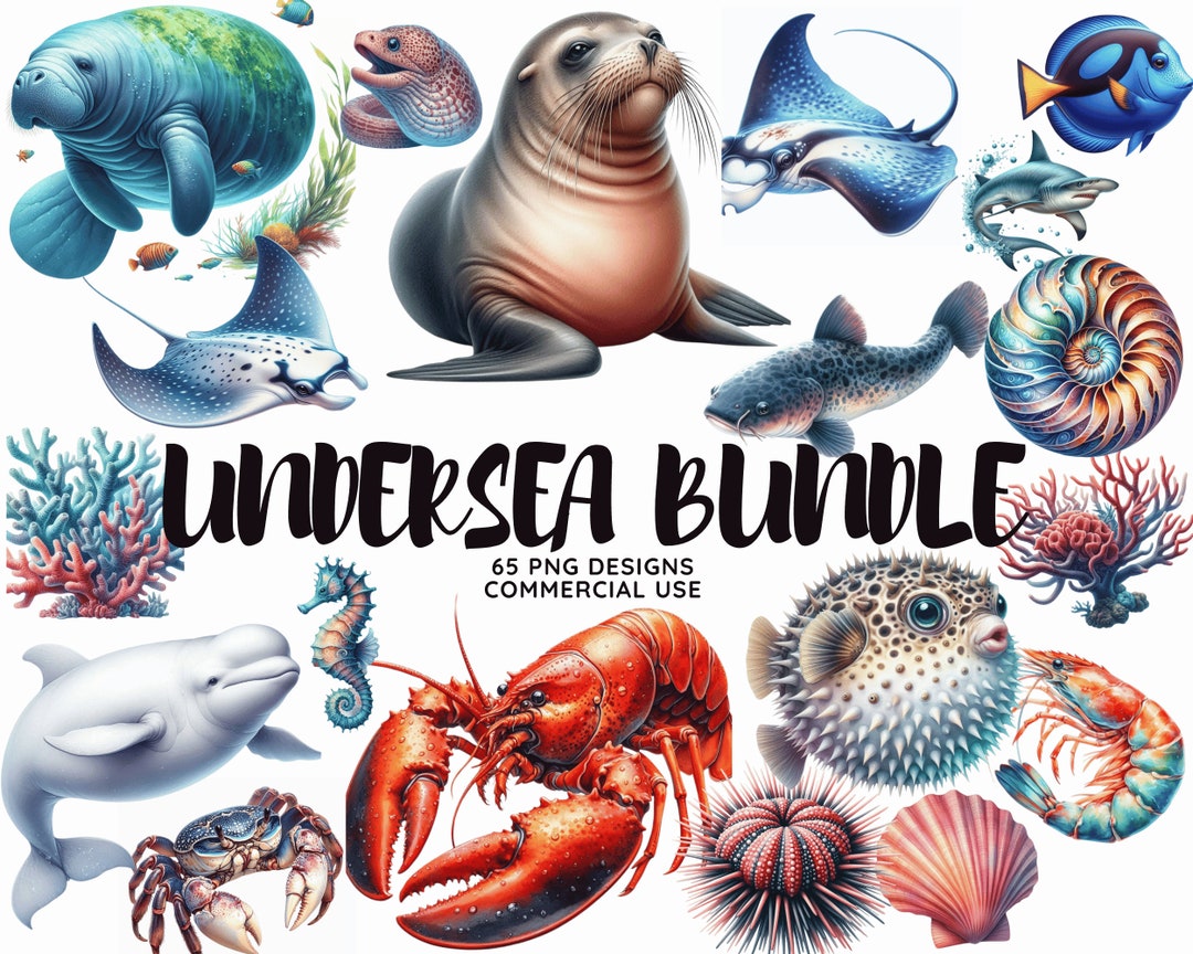 Marine Animals Clip Art Bundle: Underwater Sea PNG Designs (commercial ...