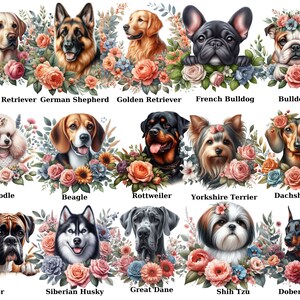 Dogs Clipart Bundle,mega Dog Breeds Clip Art, Watercolor Portrait,puppy ...