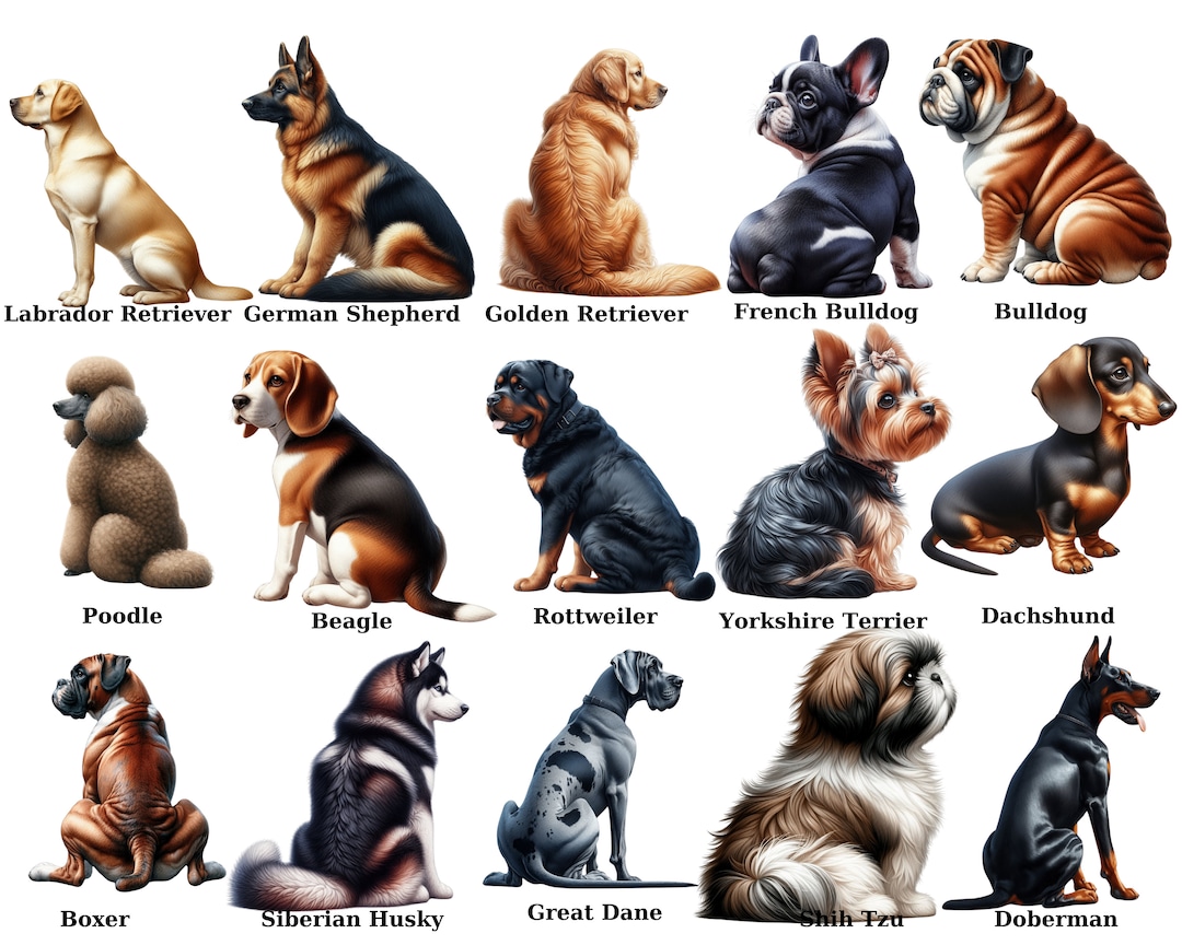 Dog Clipart Bundle, Watercolor Dog Clipart Sublimation Designs, Dog ...