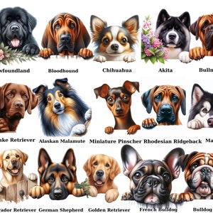 Watercolor Puppy Clipart, 370 Dog Breeds Clipart Bundle, Puppy Dog ...