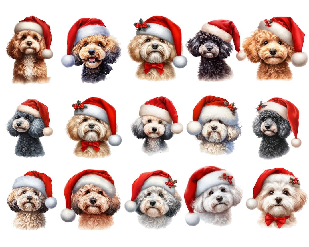Watercolor Christmas Cavapoo Maltipoo Cockapoo Clipart, PNG Instant ...