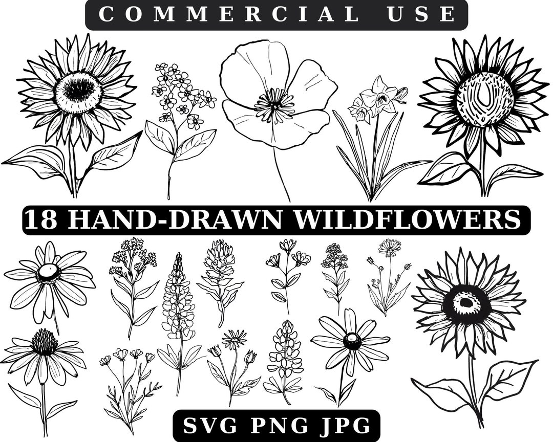 Flowers Svg Png, Hand Drawn Wildflowers, Floral Svg,wildflowers Svg ...