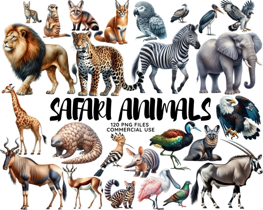 Watercolor Safari Animal Clipart: African Wildlife Illustrations (120 ...