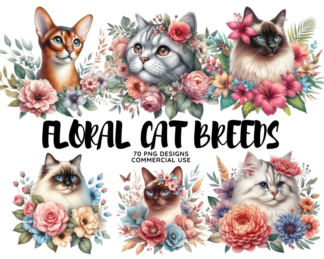 Floral Cat Clipart, Kitty Clipart Bundle, Flowers, Clip Art, Cat ...