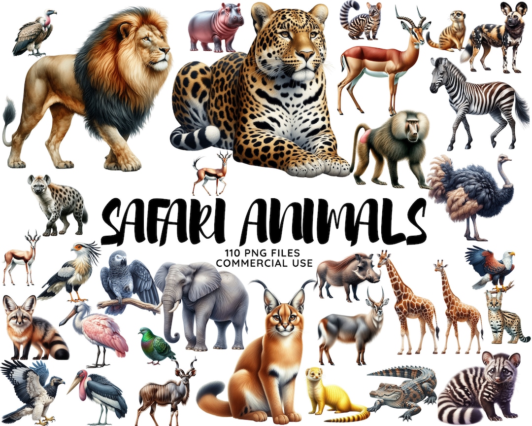 Safari Animals Clipart Watercolor, Jungle Safari Png, Baby Safari ...