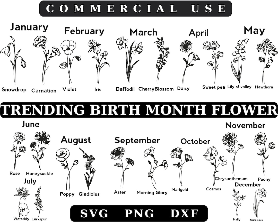 Birth Month Flower Zodiac SVG Bundle: Astrology Clipart (digital ...