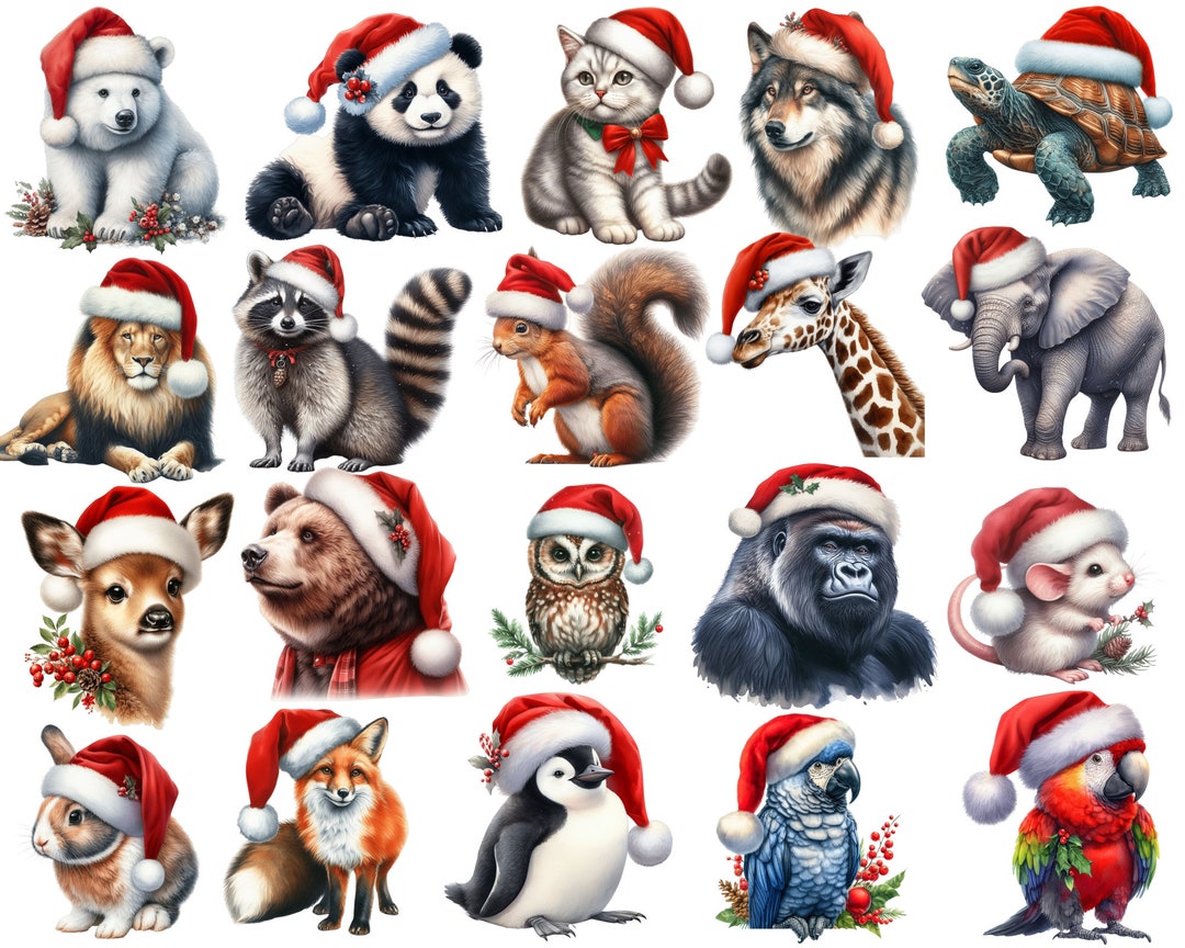 Watercolor Christmas Animals Clipart PNG Woodland Animals Clipart ...