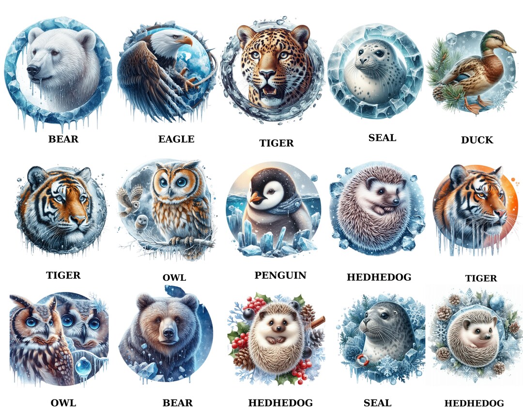Watercolor Winter Animals Clipart: Polar Bear, Penguin, Seal (PNG) - Etsy