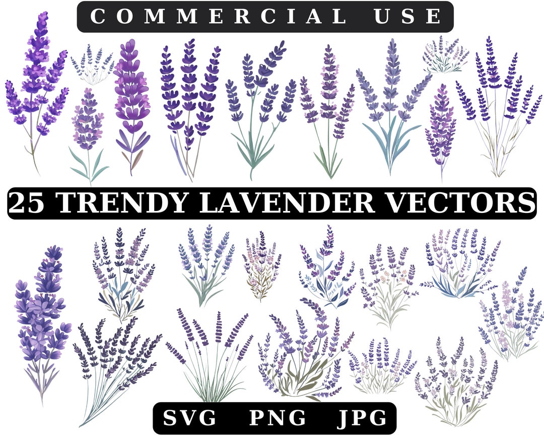Hand-drawn Lavender Clipart: Provence Floral PNG, SVG, DXF (digital ...